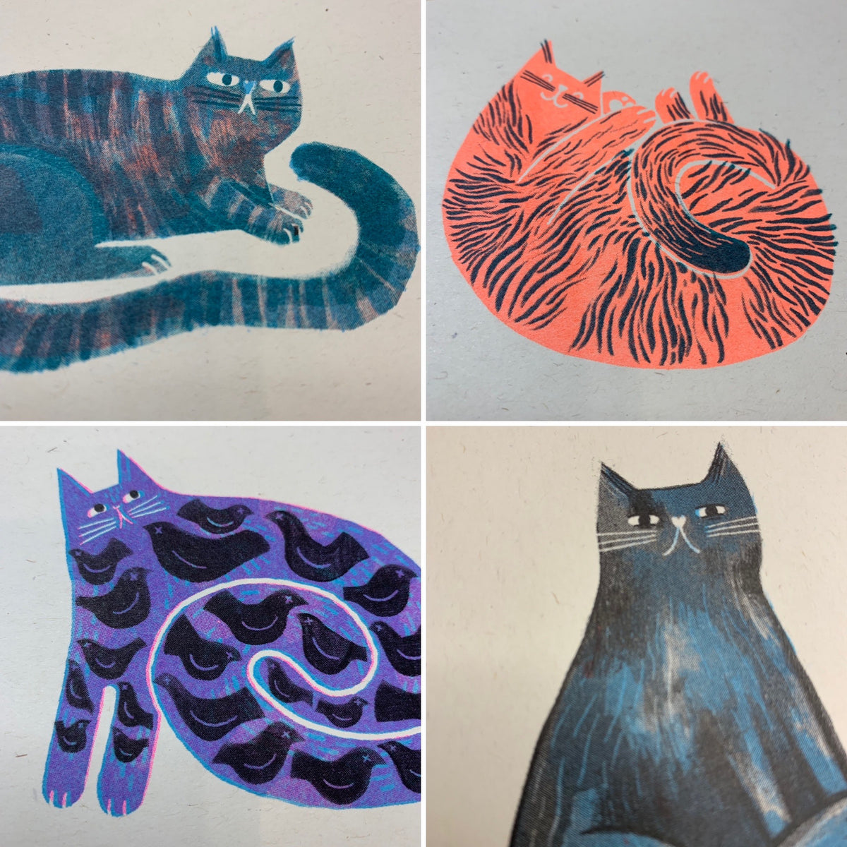 Cat Mini riso print set - A6 – small-stories